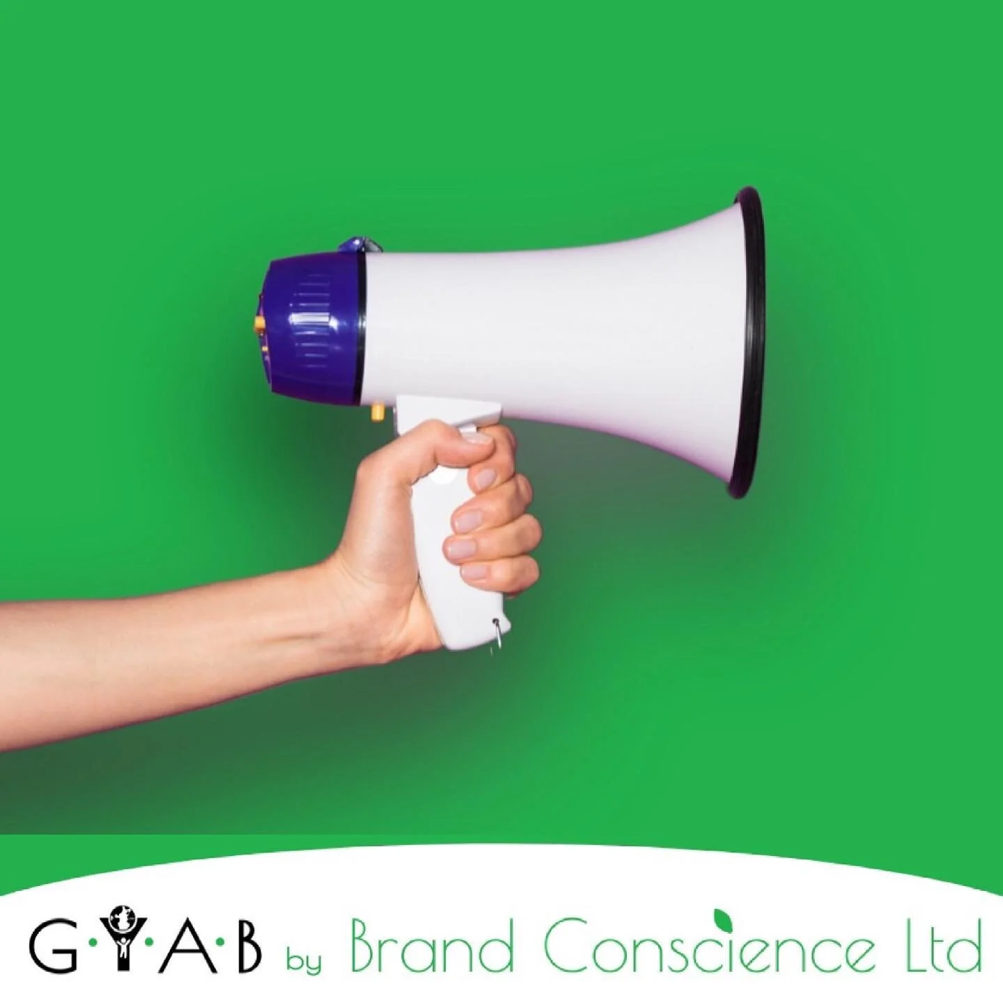 Education — Brand Conscience