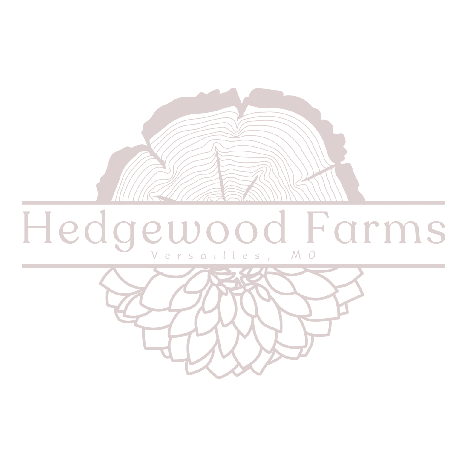 Labyrinth Dahlia Tuber — Hedgewood Farms