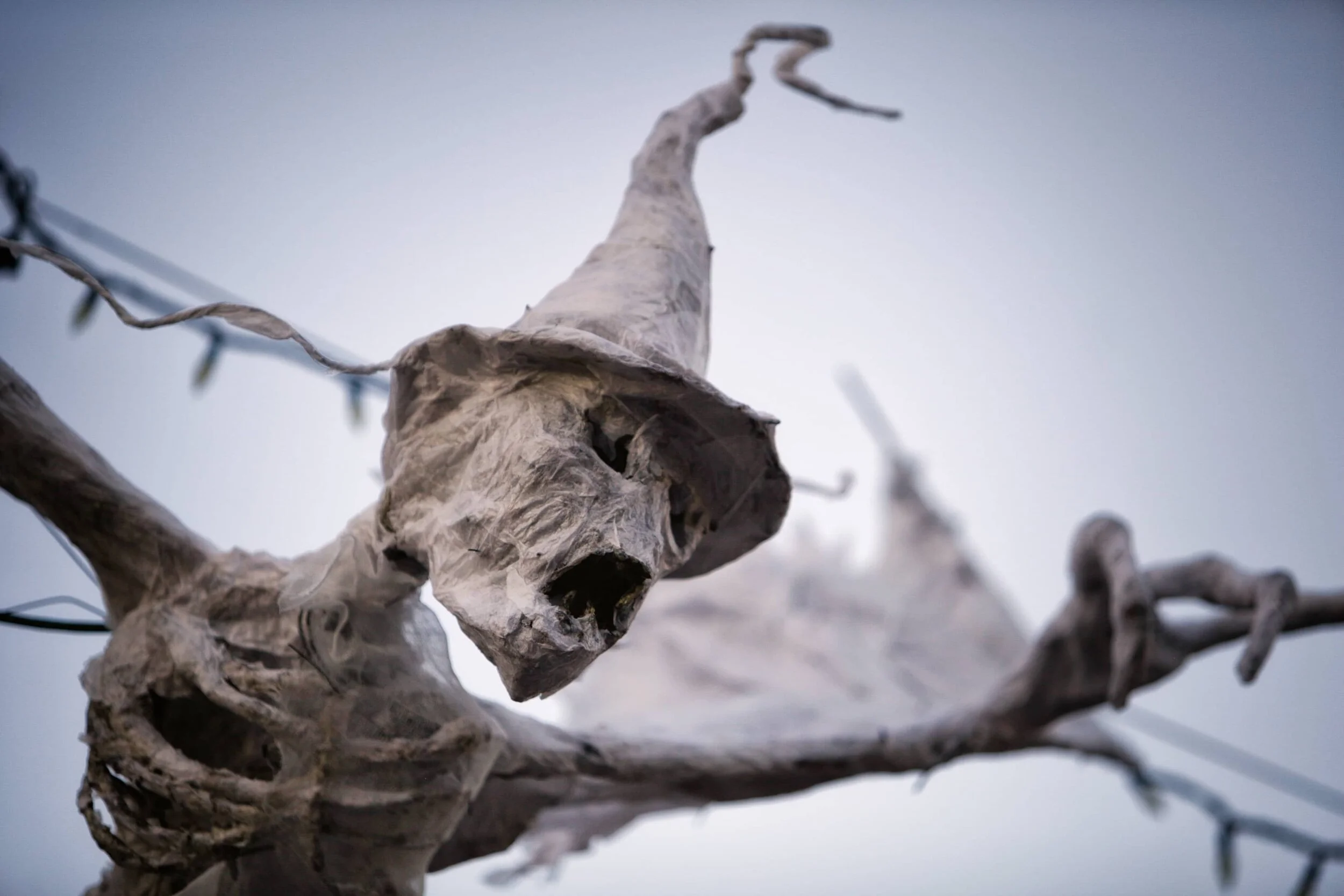 Tim Murton's Twilight Zoo — Mark Heine Photography