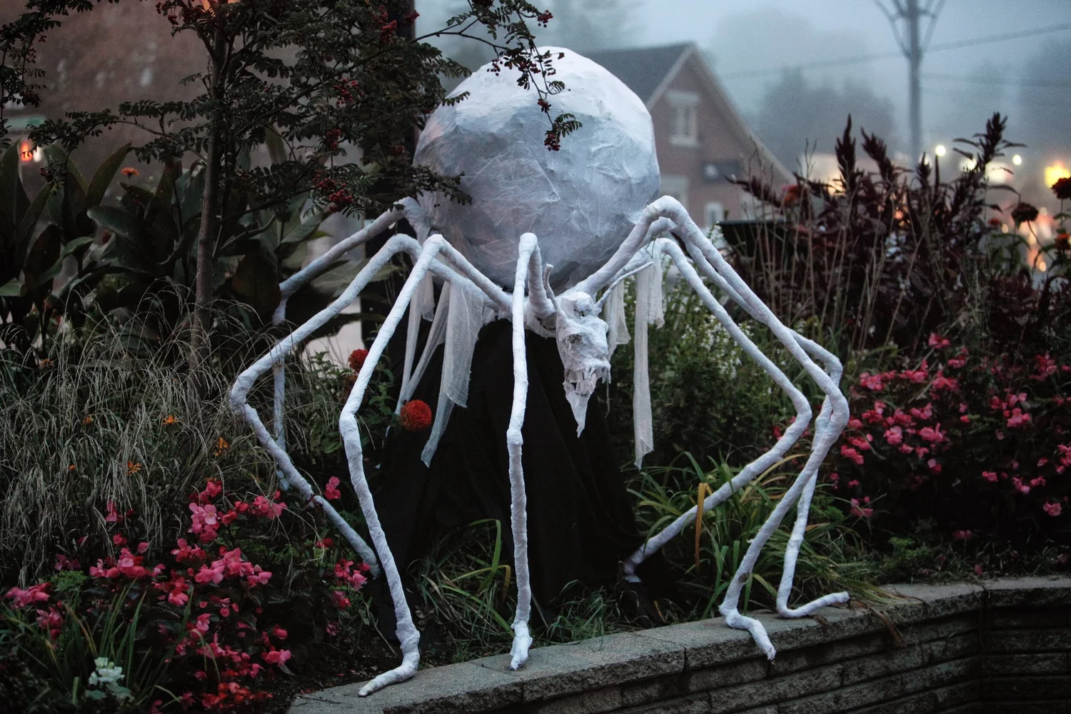 Tim Murton's Twilight Zoo — Mark Heine Photography