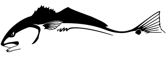 Redfish Decal