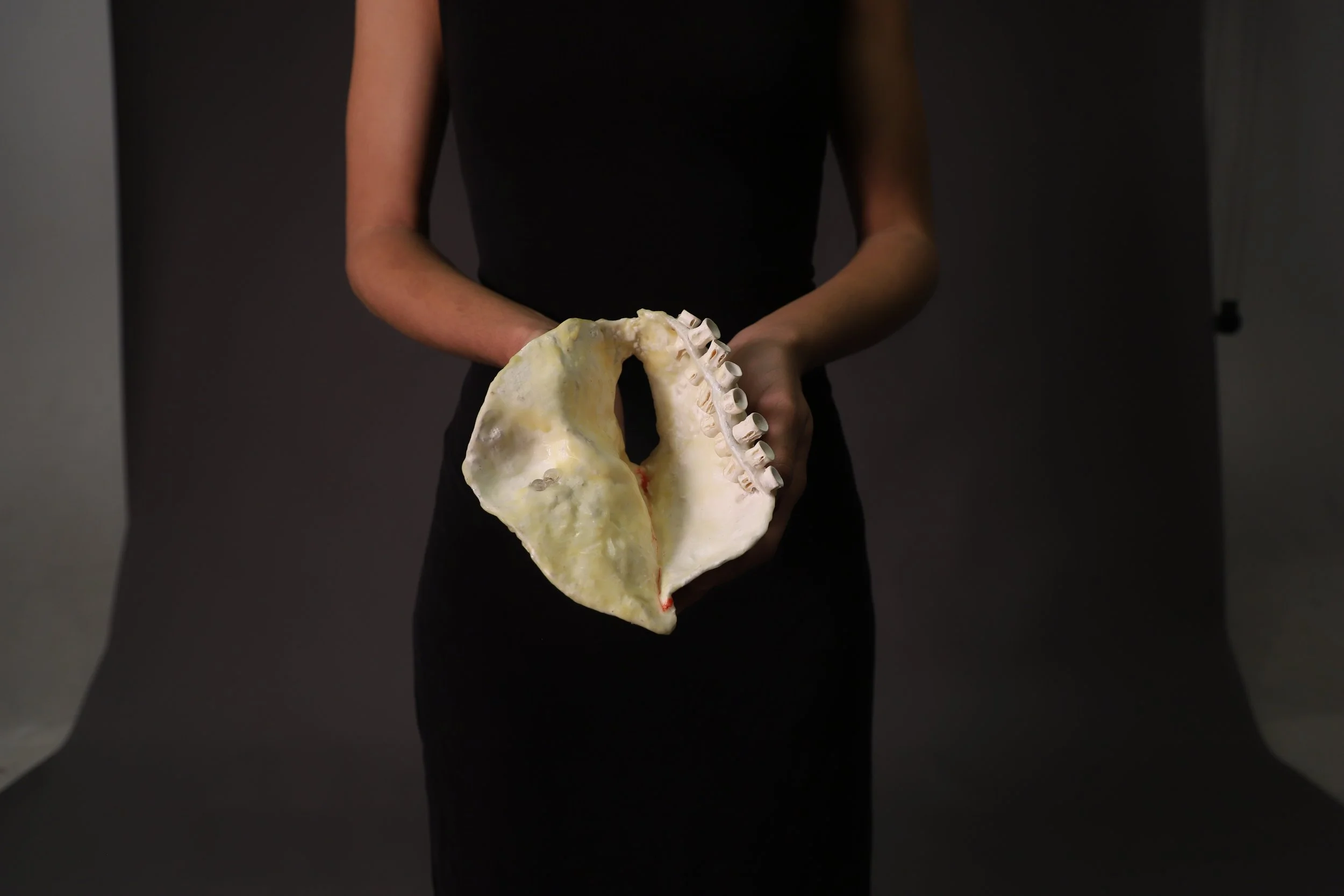 Kyrin Hobson — Logan Center Exhibitions