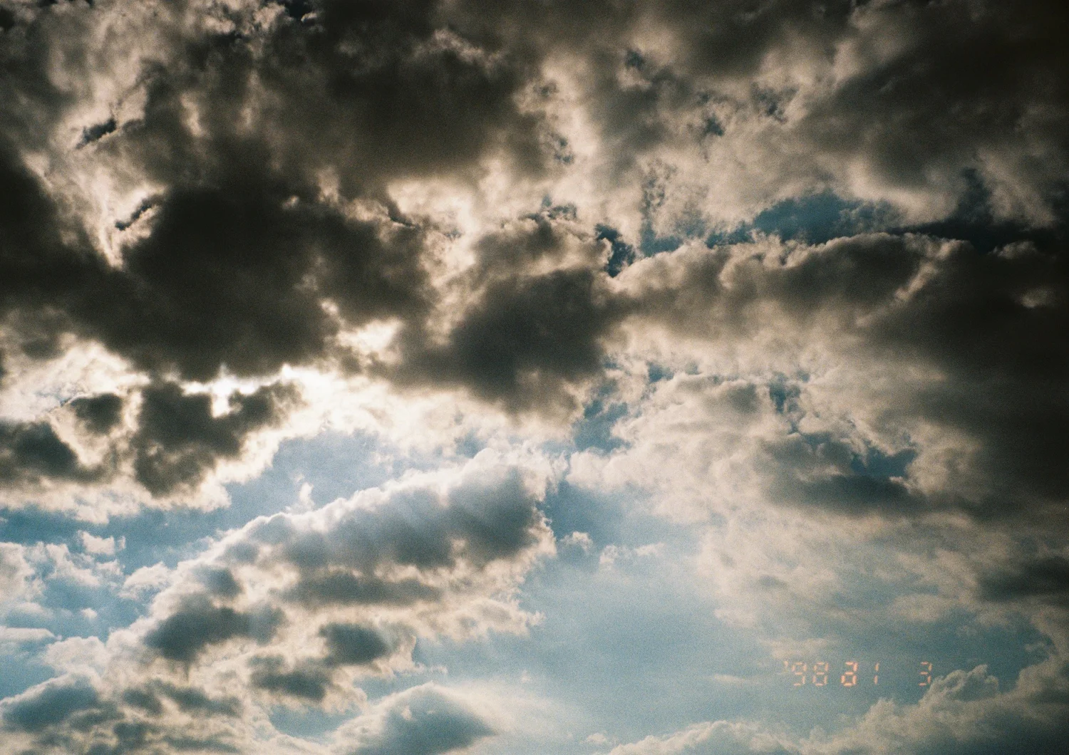 Heather Kai Smith & Ali Feser: Pawing the Ground in Place — Logan ...