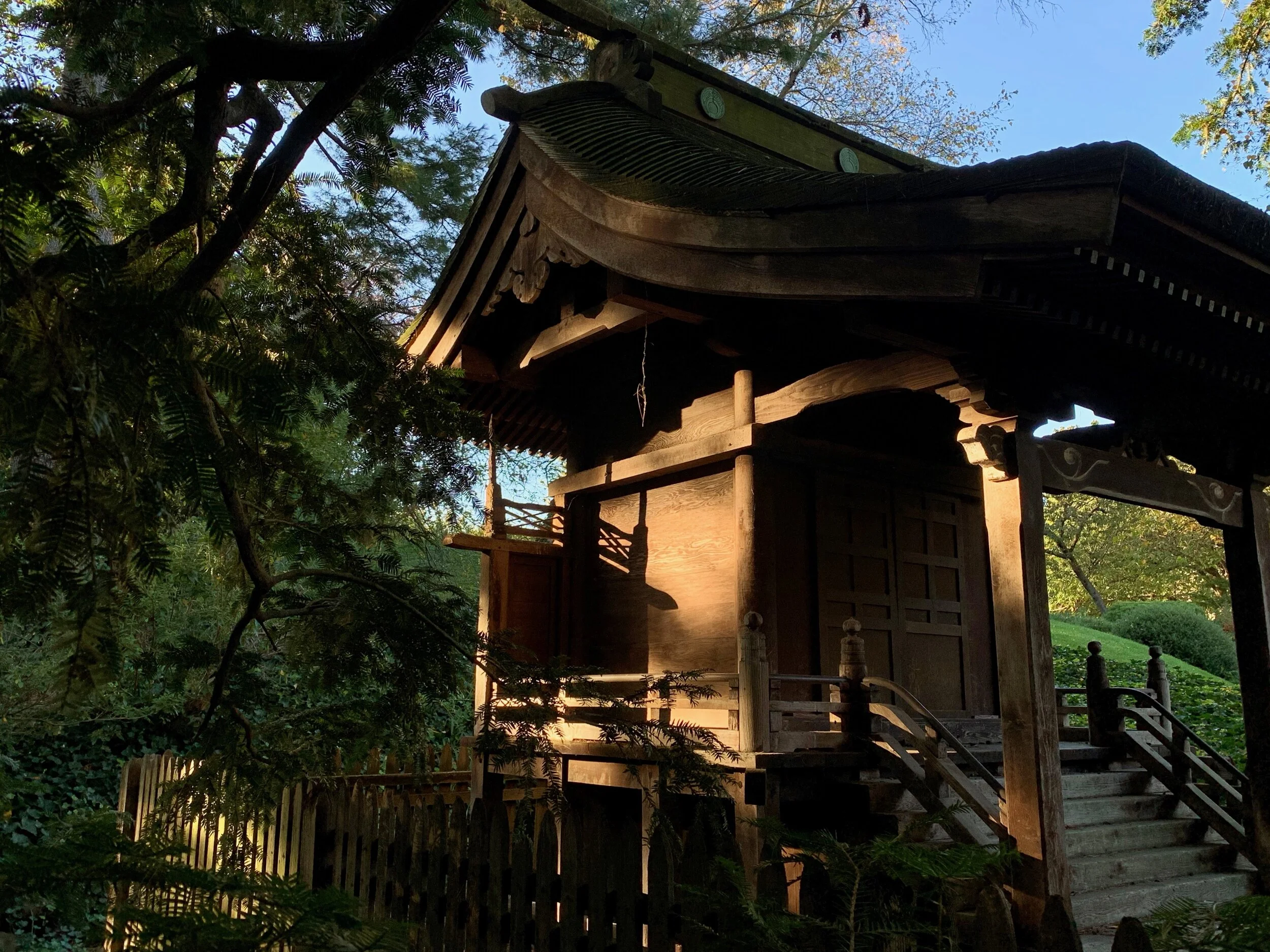 Audrey Gray - Climate Journalist