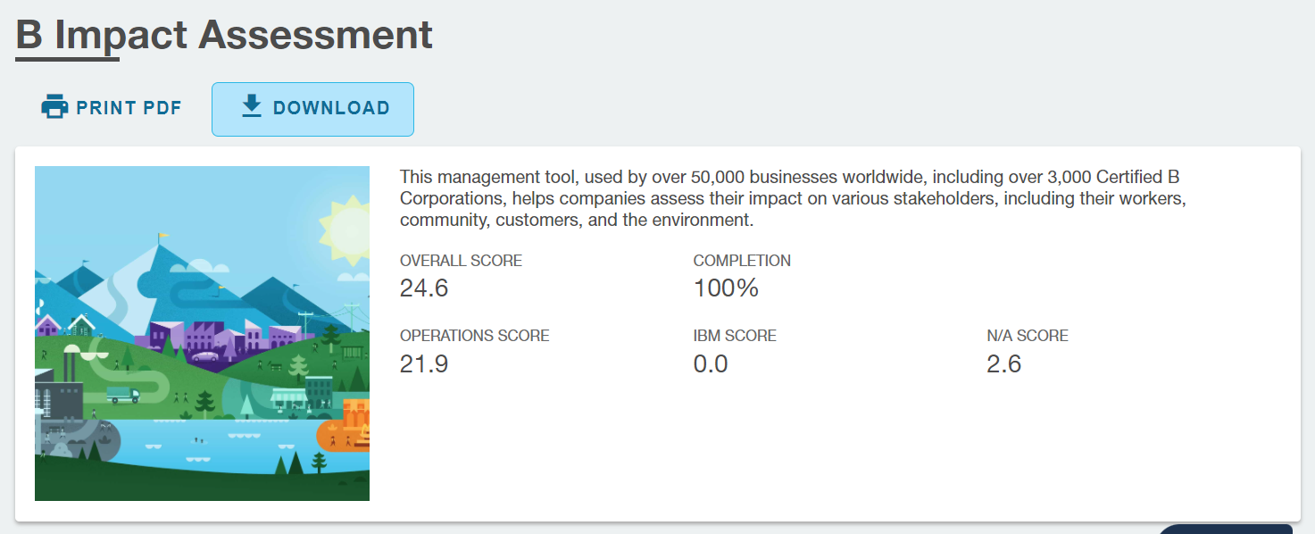 Solopreneur Sustainable Business Challenge: Conducting an Impact ...