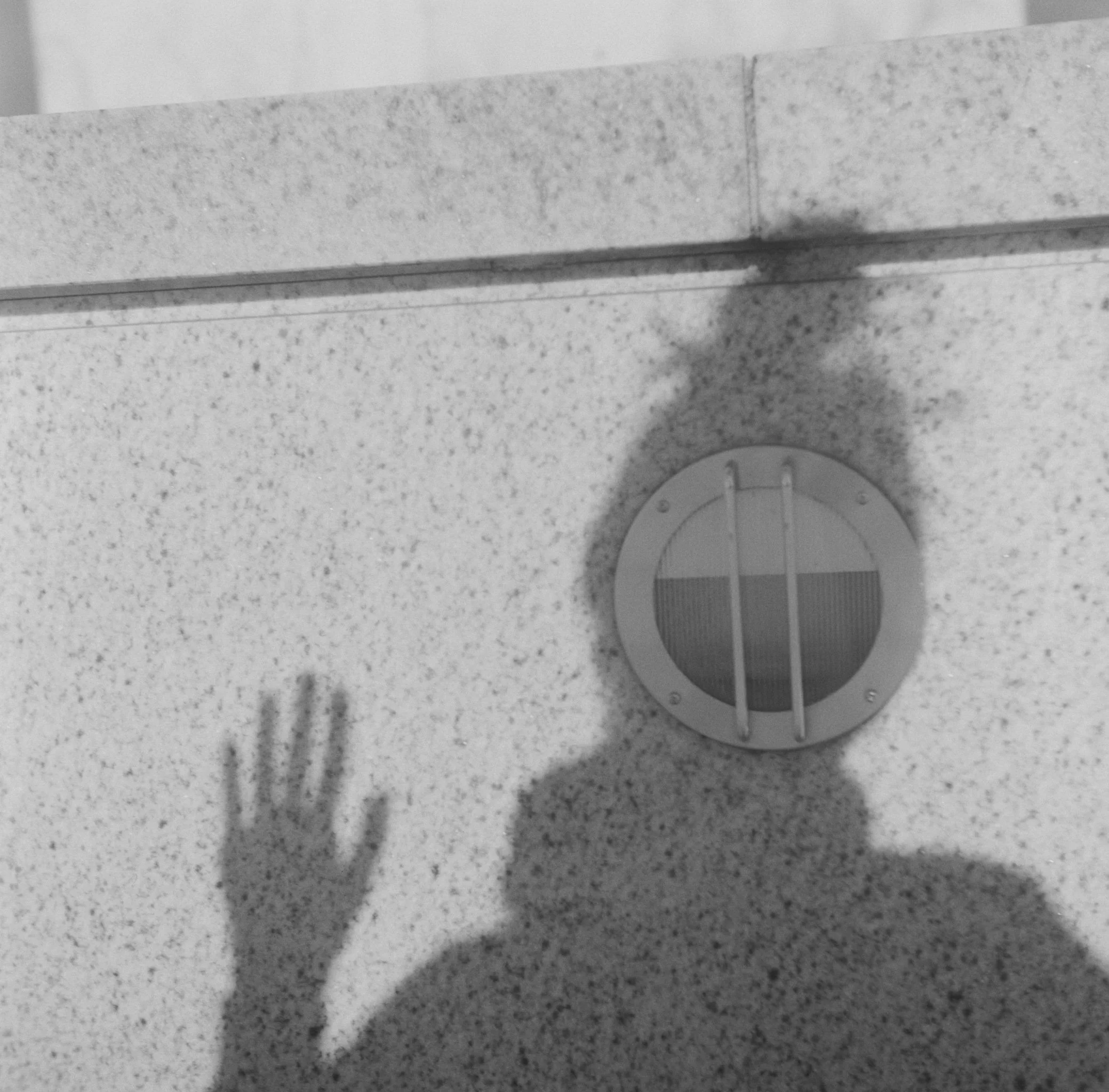 About 1 — danielle towers