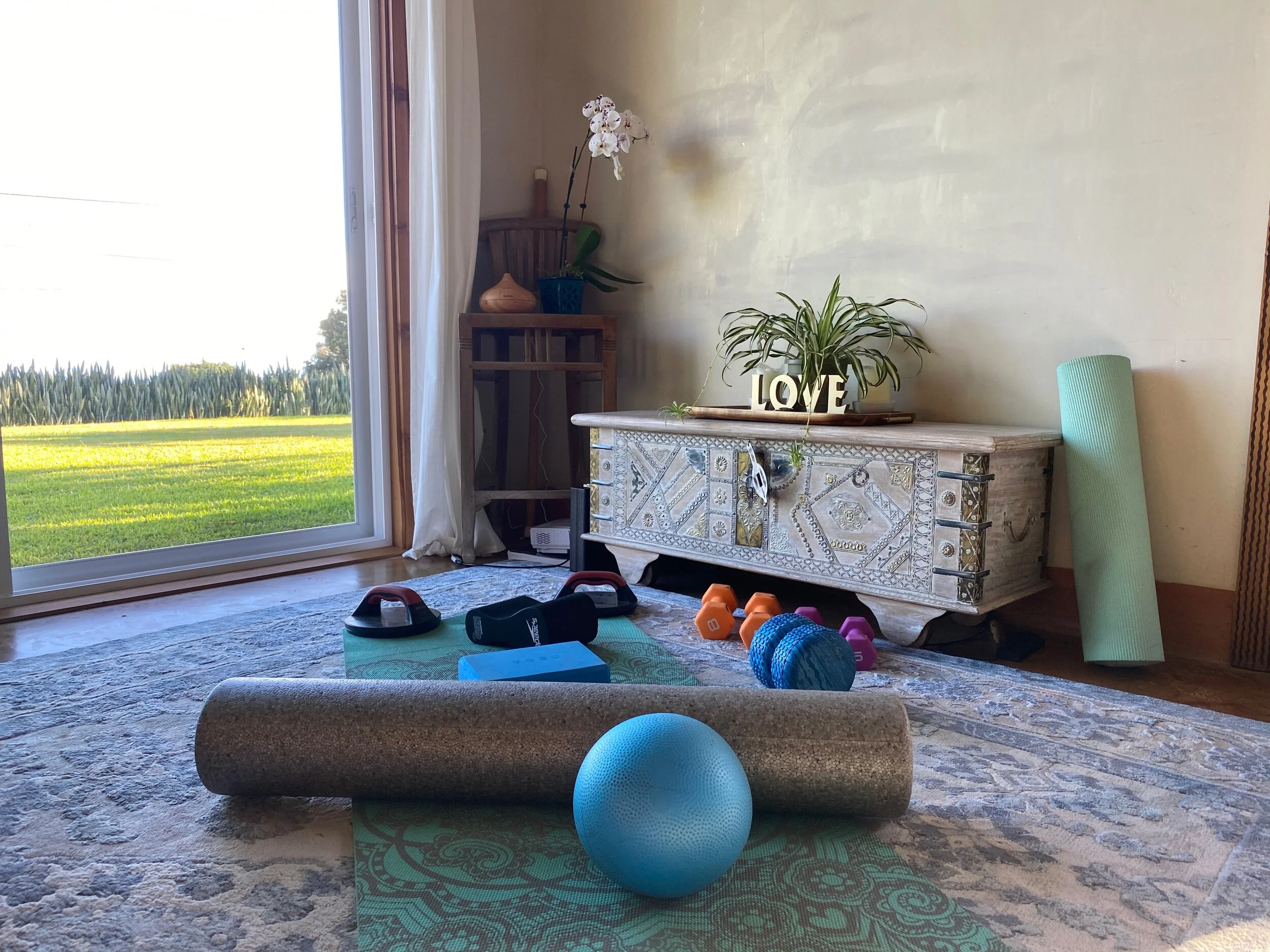 About — True Motion Bodyworks