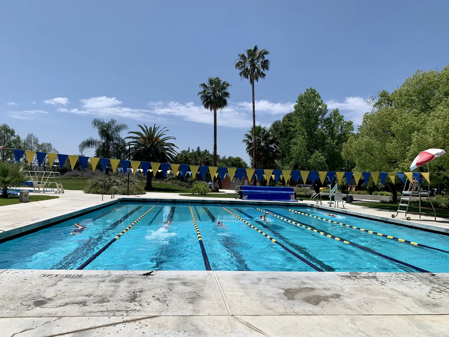 Swim — UC Davis Triathlon Team