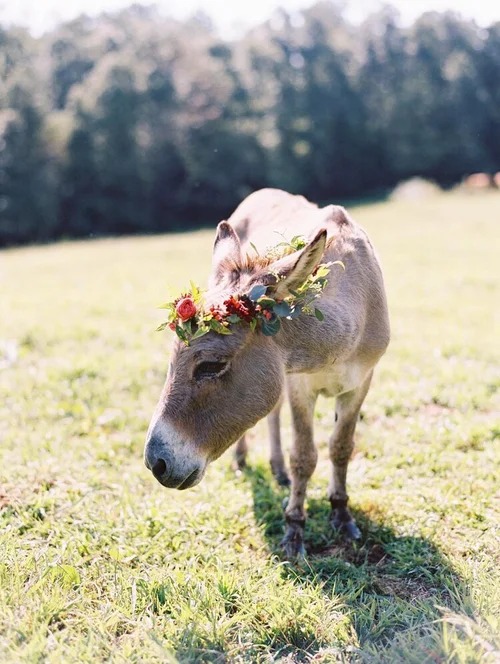 Portfolio — Jessica Rourke