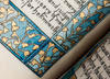 About — Rebecca Romney: Rare Books Specialist