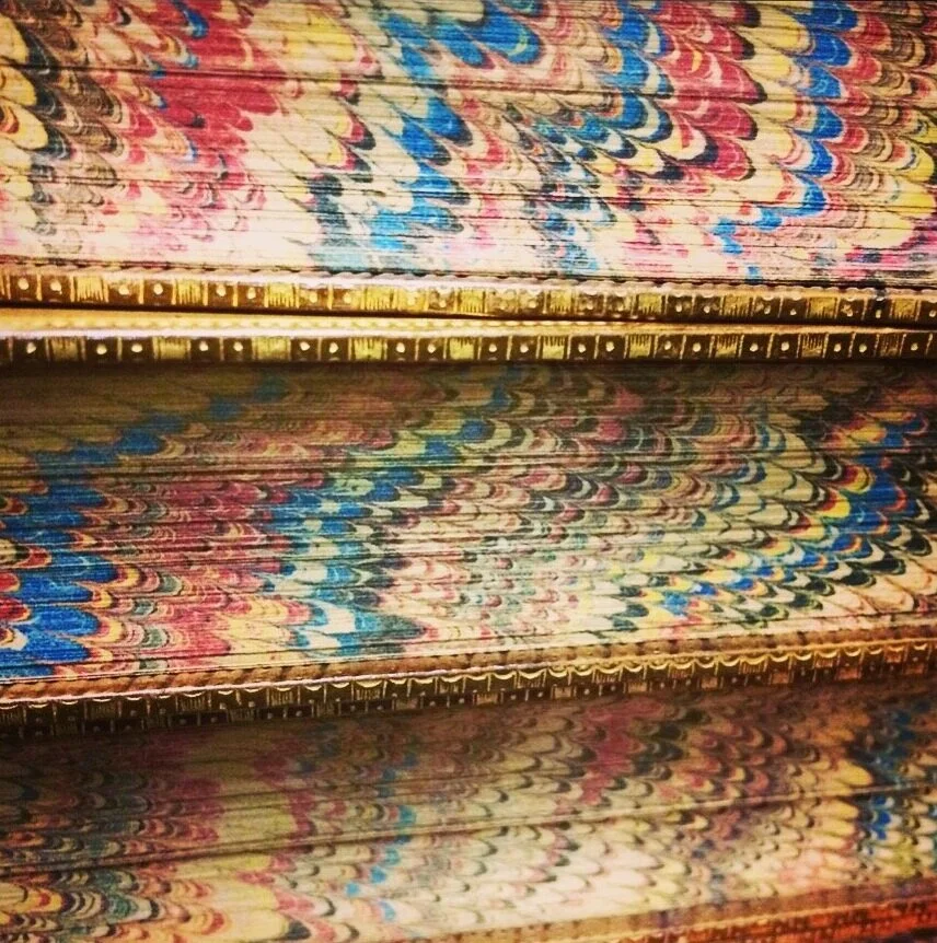 Rare Books 101 — Rebecca Romney: Rare Books Specialist
