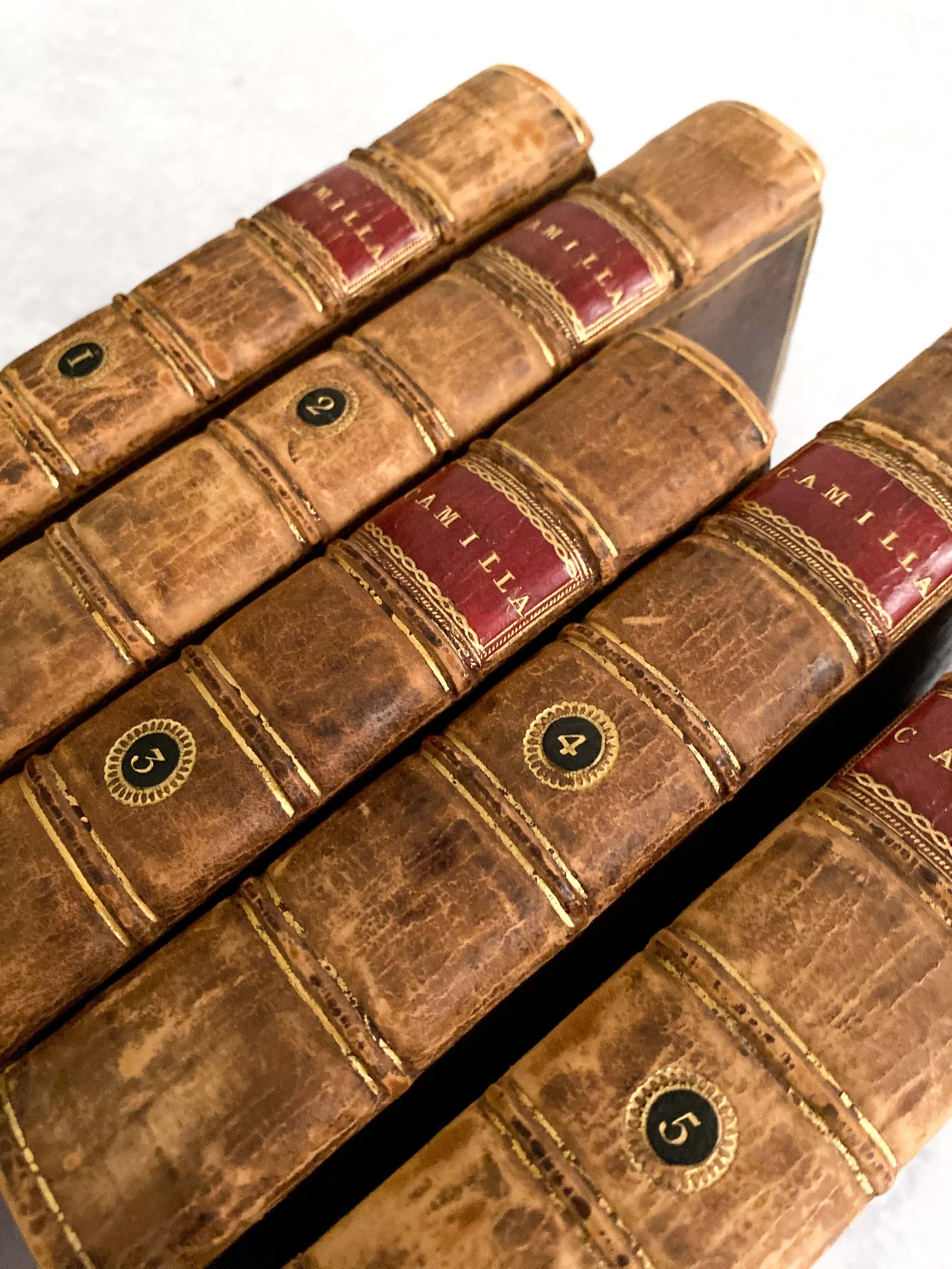 Rebecca Romney: Rare Books Specialist