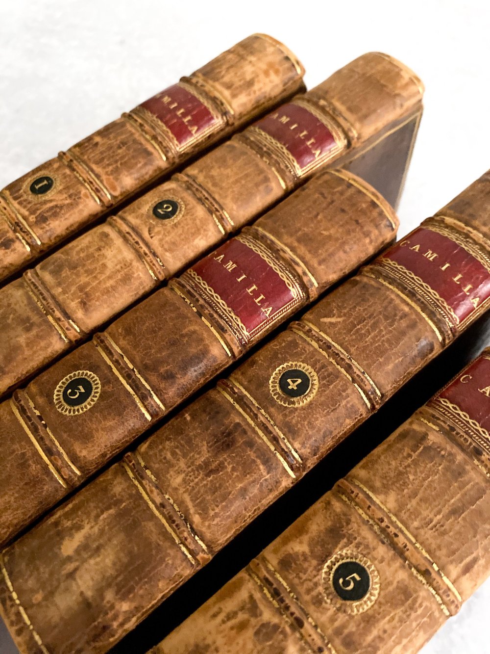 Rebecca Romney: Rare Books Specialist