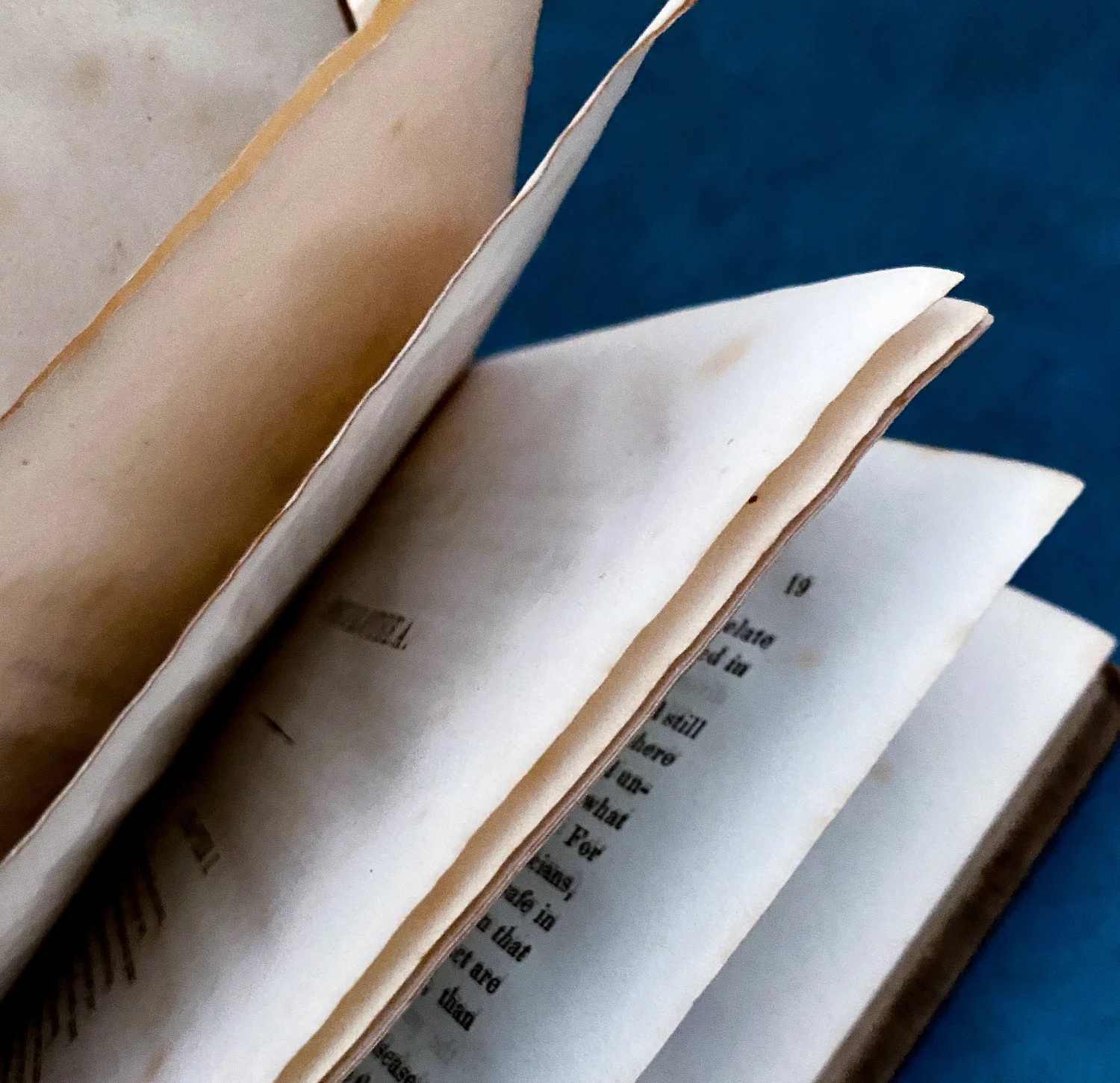 Rebecca Romney: Rare Books Specialist