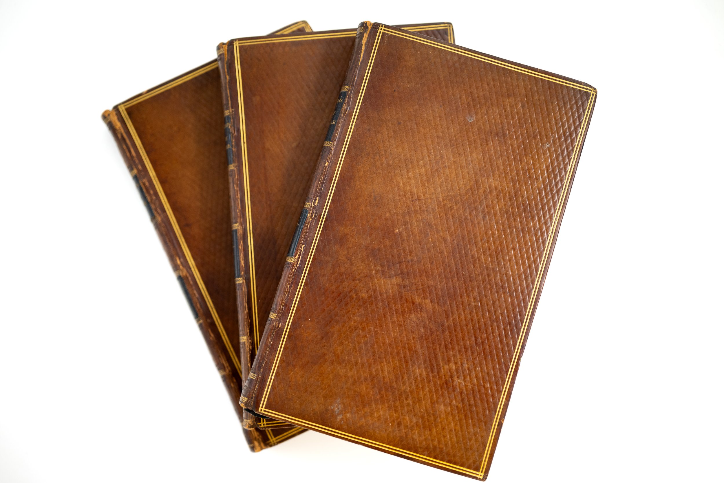 Author — Rebecca Romney: Rare Books Specialist