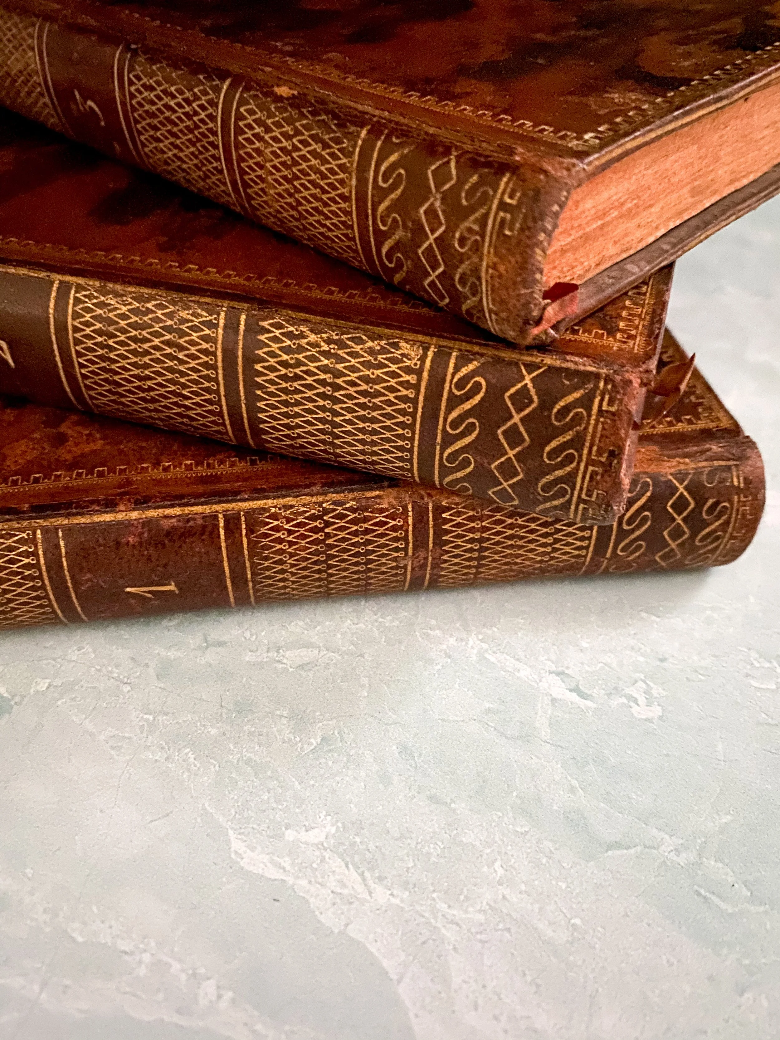Rebecca Romney: Rare Books Specialist