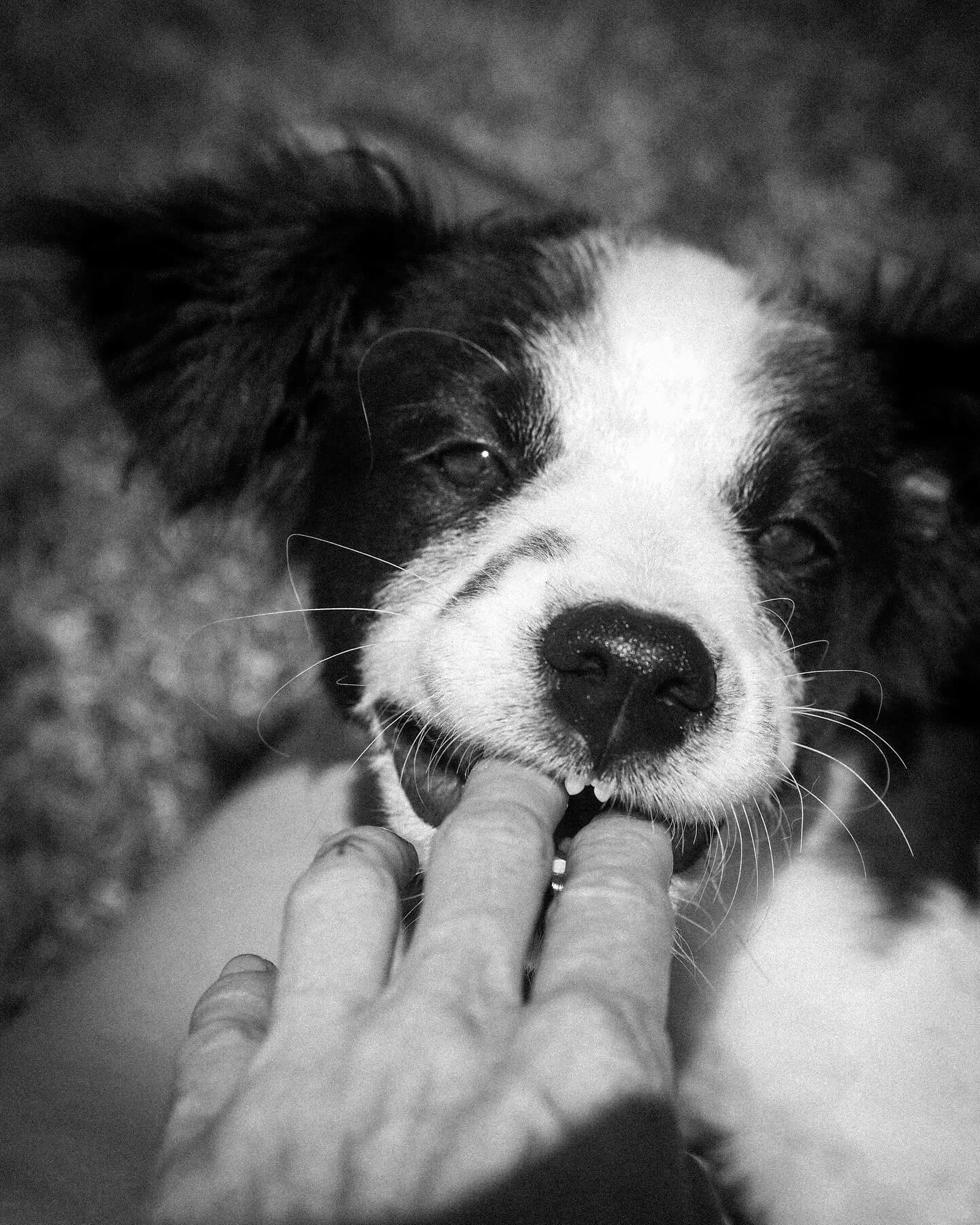 Madeline Mack - Branding and Design for Changemakers