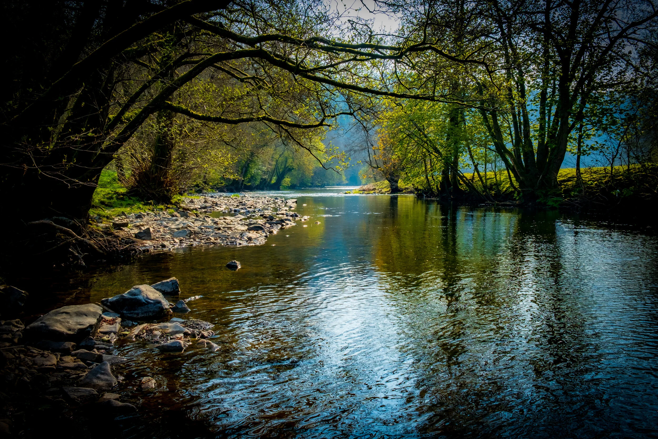 2021 Gallery — Paul Edward Mann Photography