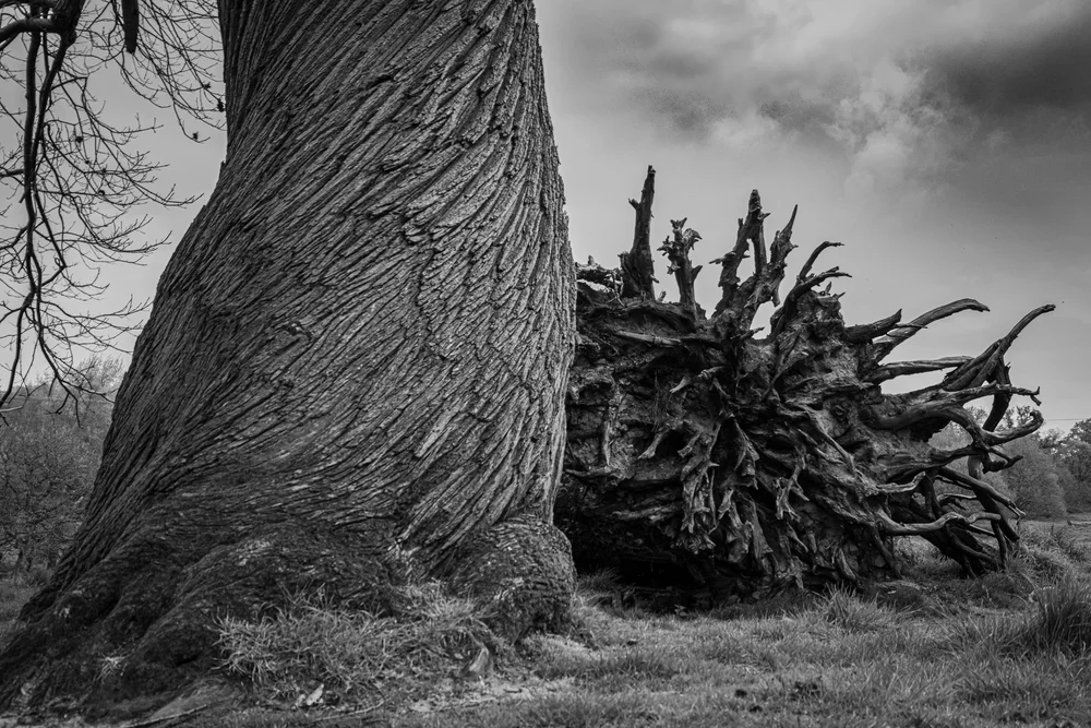 2022 Gallery — Paul Edward Mann Photography