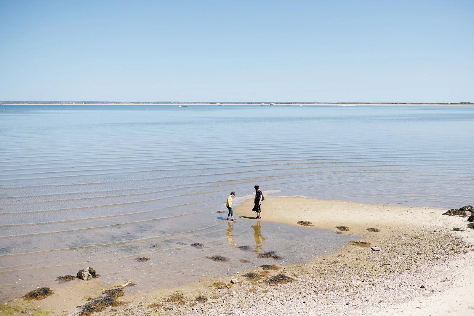 Cape Cod Disco Forest Wedding | Provincetown, MA | K MARIE EVENTS