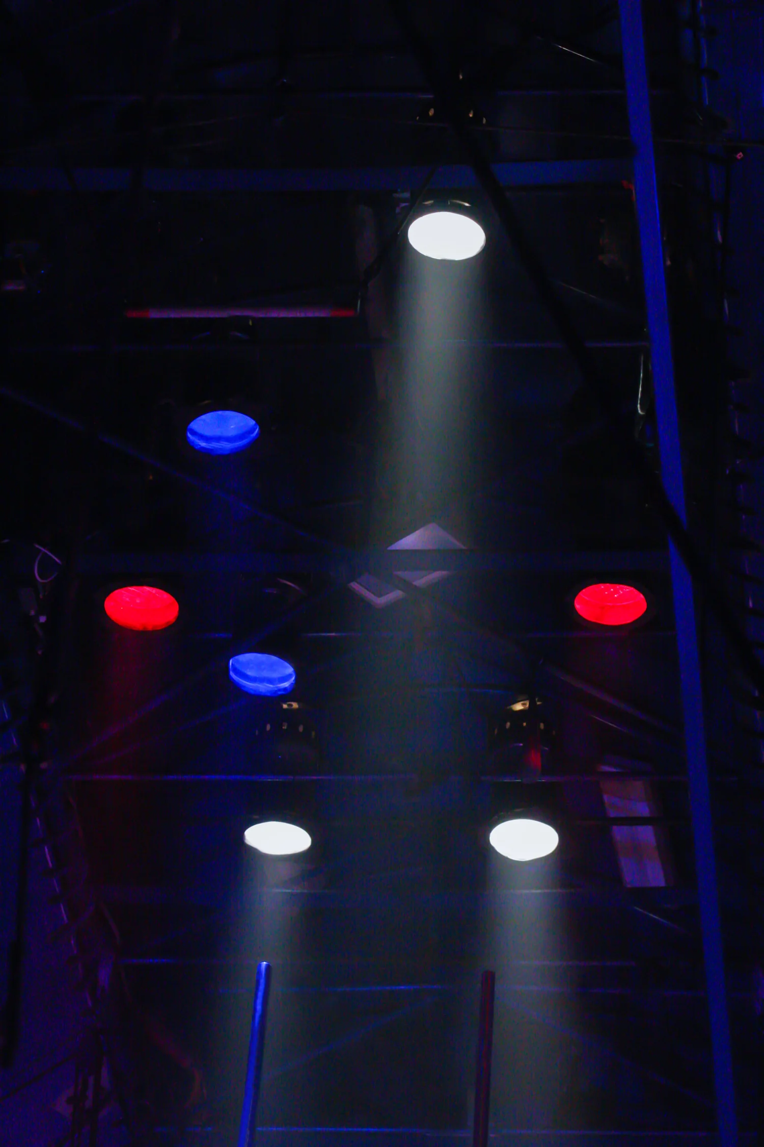 CIRCUS NOCK— FRANKSCHRAMM