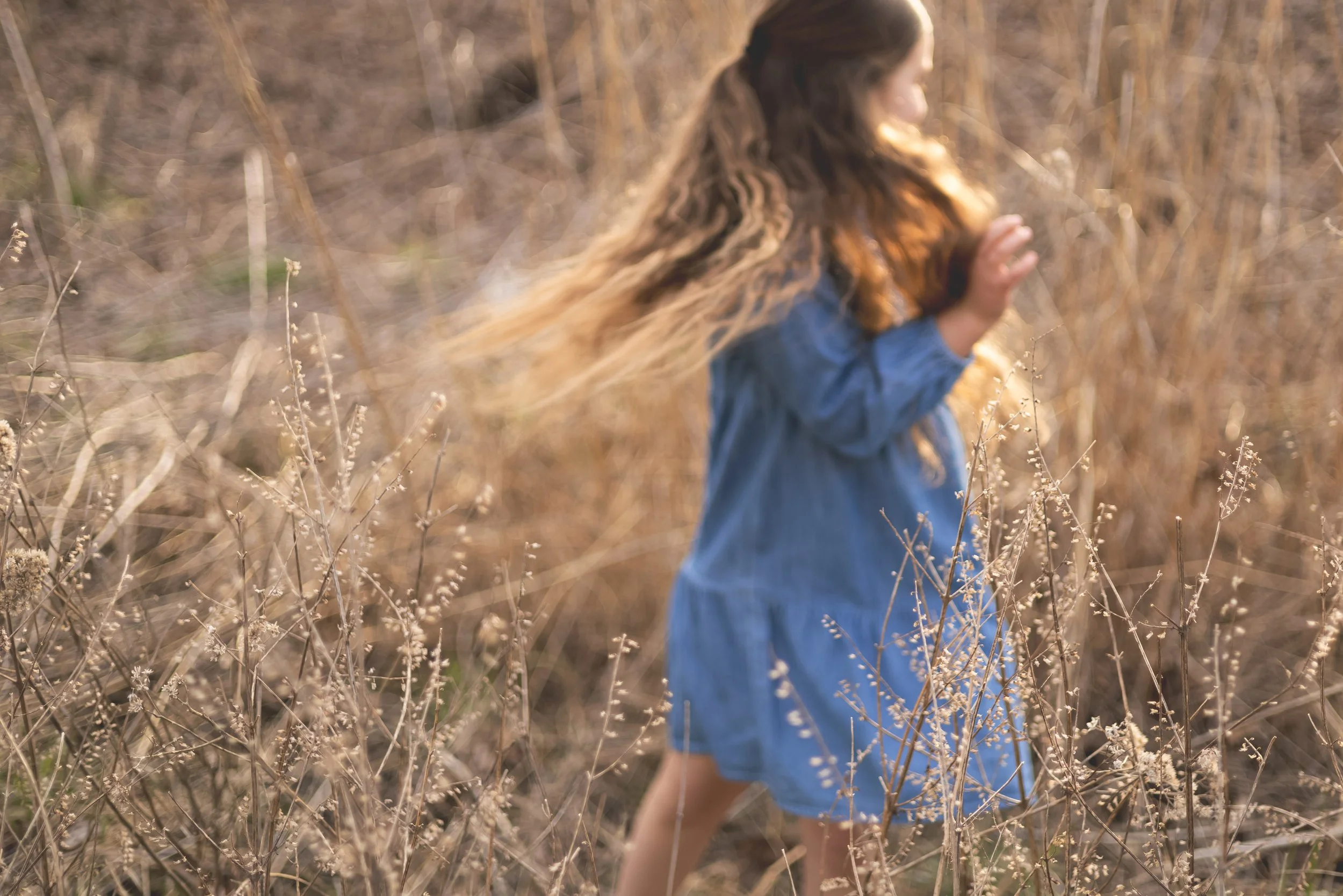 Whitney Scott Photography