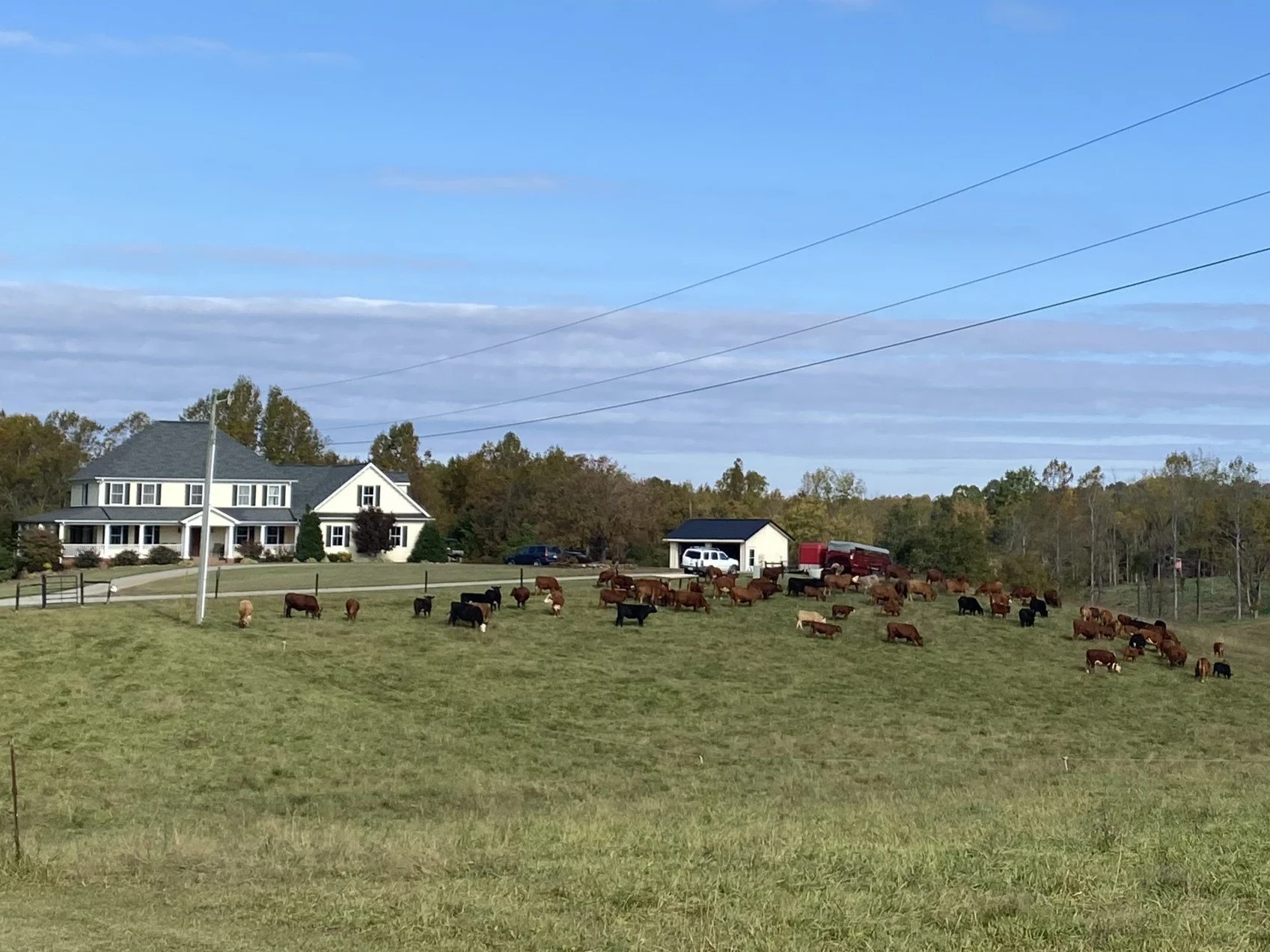 Gallery 1 — BENT CREEK FARM