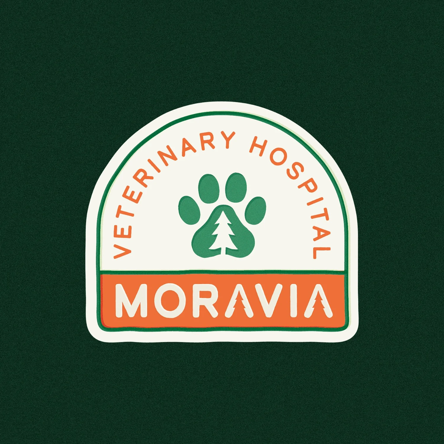 Client Work — B. Brand House | Rochester Branding Studio