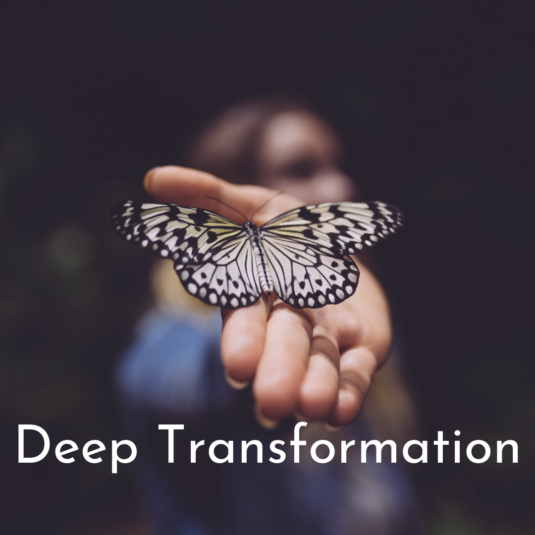 embodied emotional healing (using Regenerating Images in Memory ...