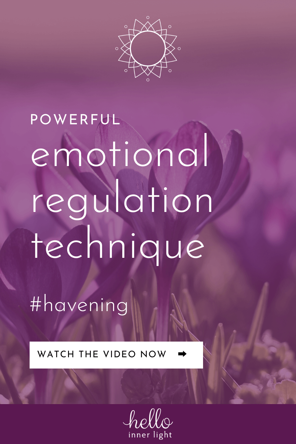 emotional regulation technique (havening for emotional self regulation ...