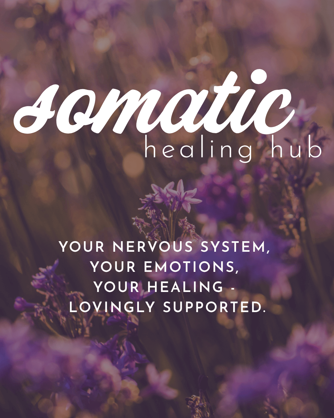 courses — hello inner light + somatic healing meditations