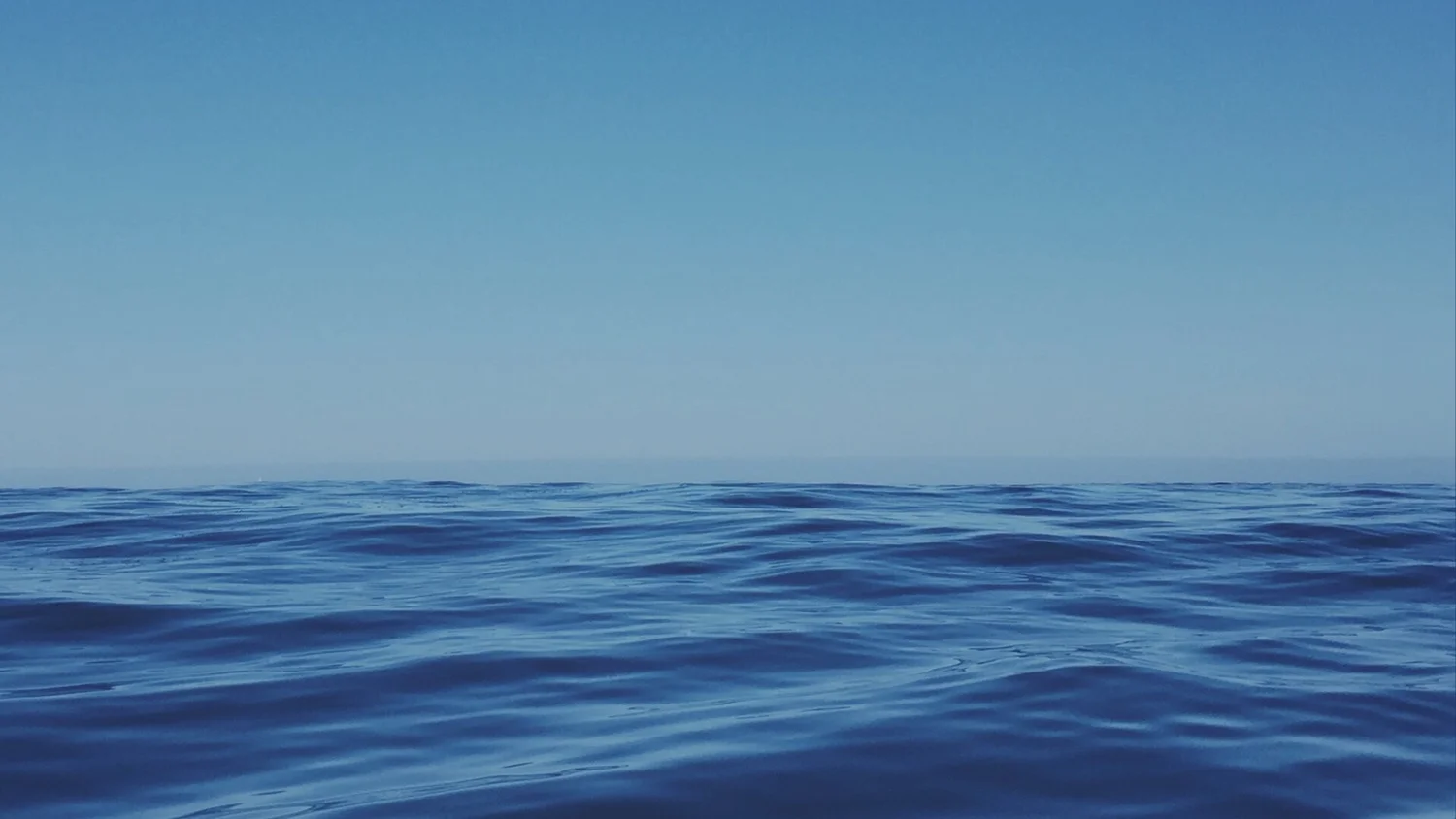 Careers — Blue Fish Group