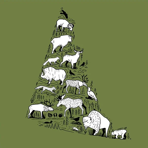 Berwin - Design, Art, and Illustration