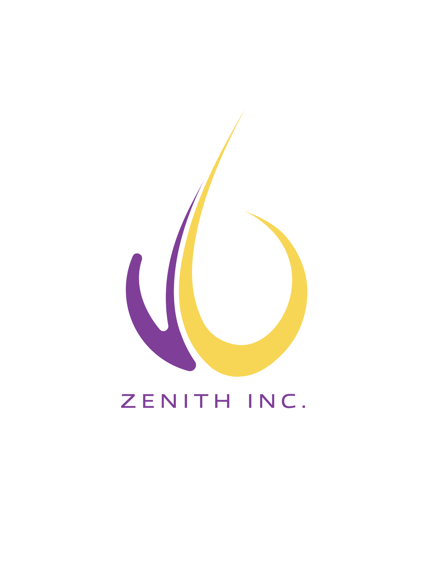 Zenith Inc Guyanas Premiere Corporate Service Provider