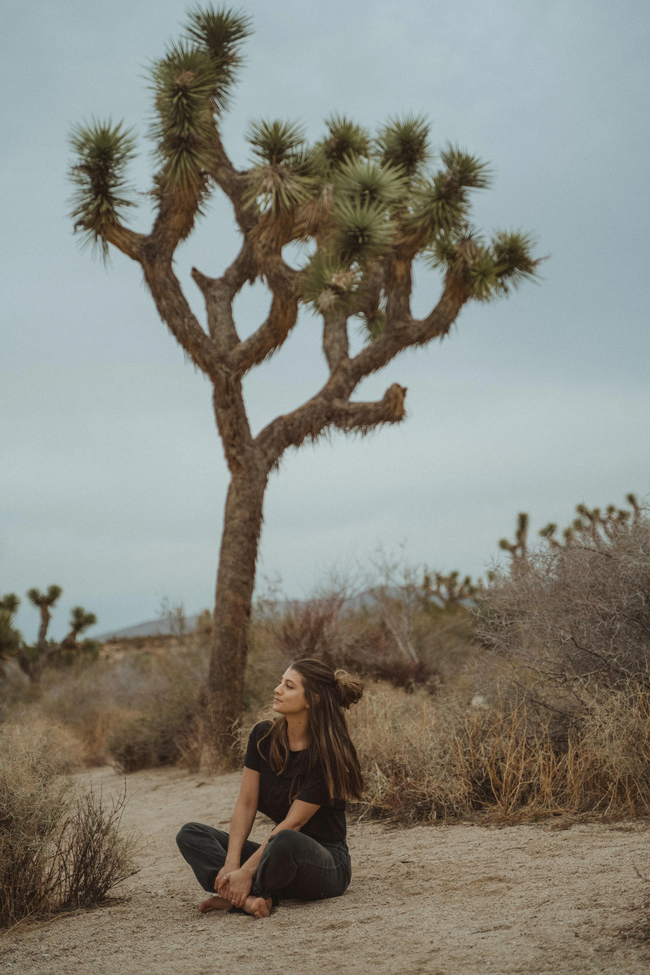 About — National Park After Dark