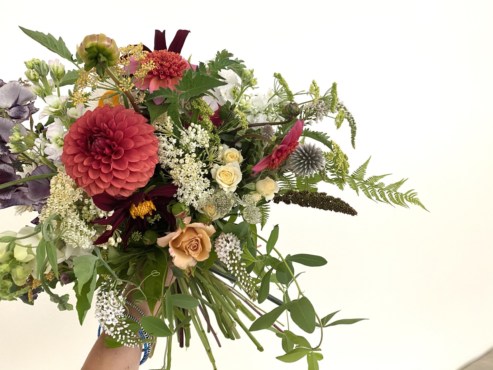 Hazel Designs Shop — hazel designs | floral + landscape