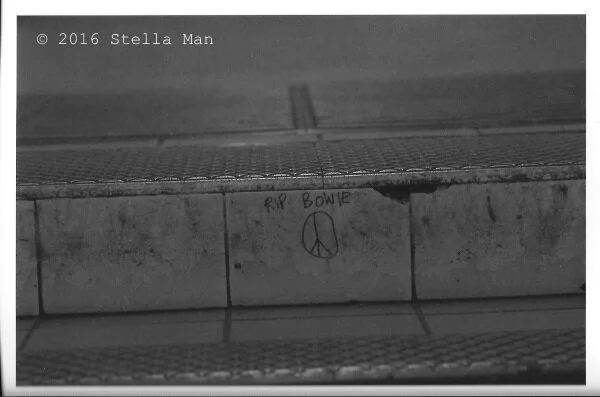 Stella Man - Stella Man Music Photographer