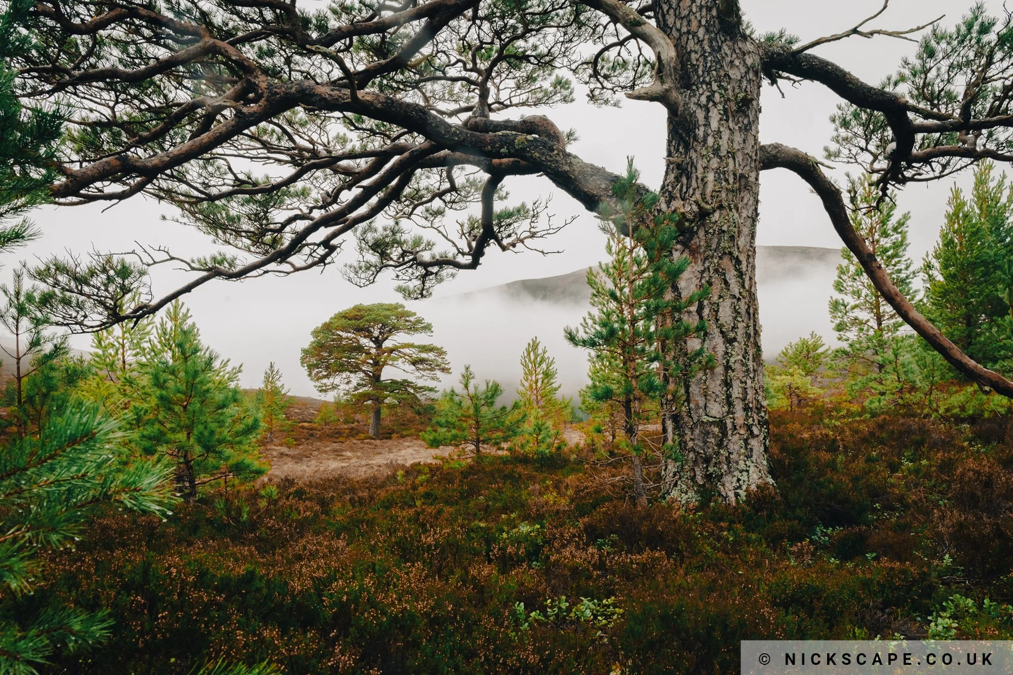 Latest Photographs by UK Landscape Photographer Nick Cockman — Nickscape