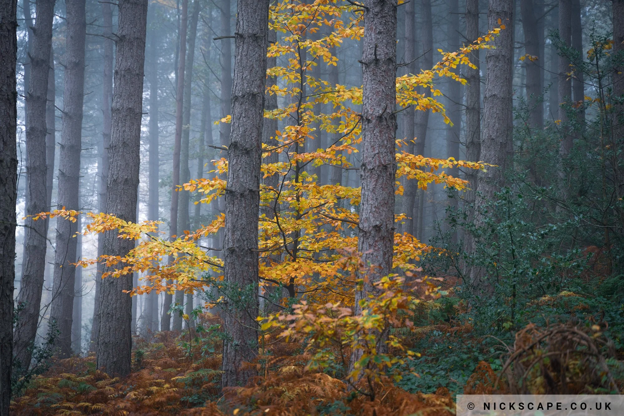 Yorkshire Gallery | Landscape Photography of Yorkshire by Nick Cockman ...
