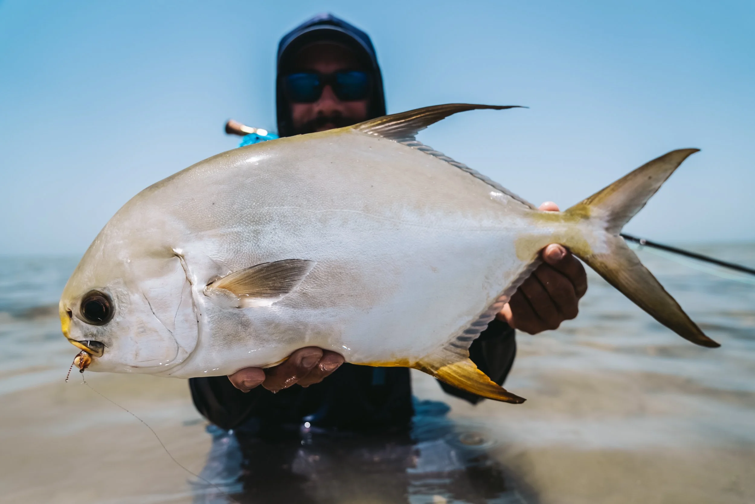 Saudi Arabia — Wild Sea Expedition