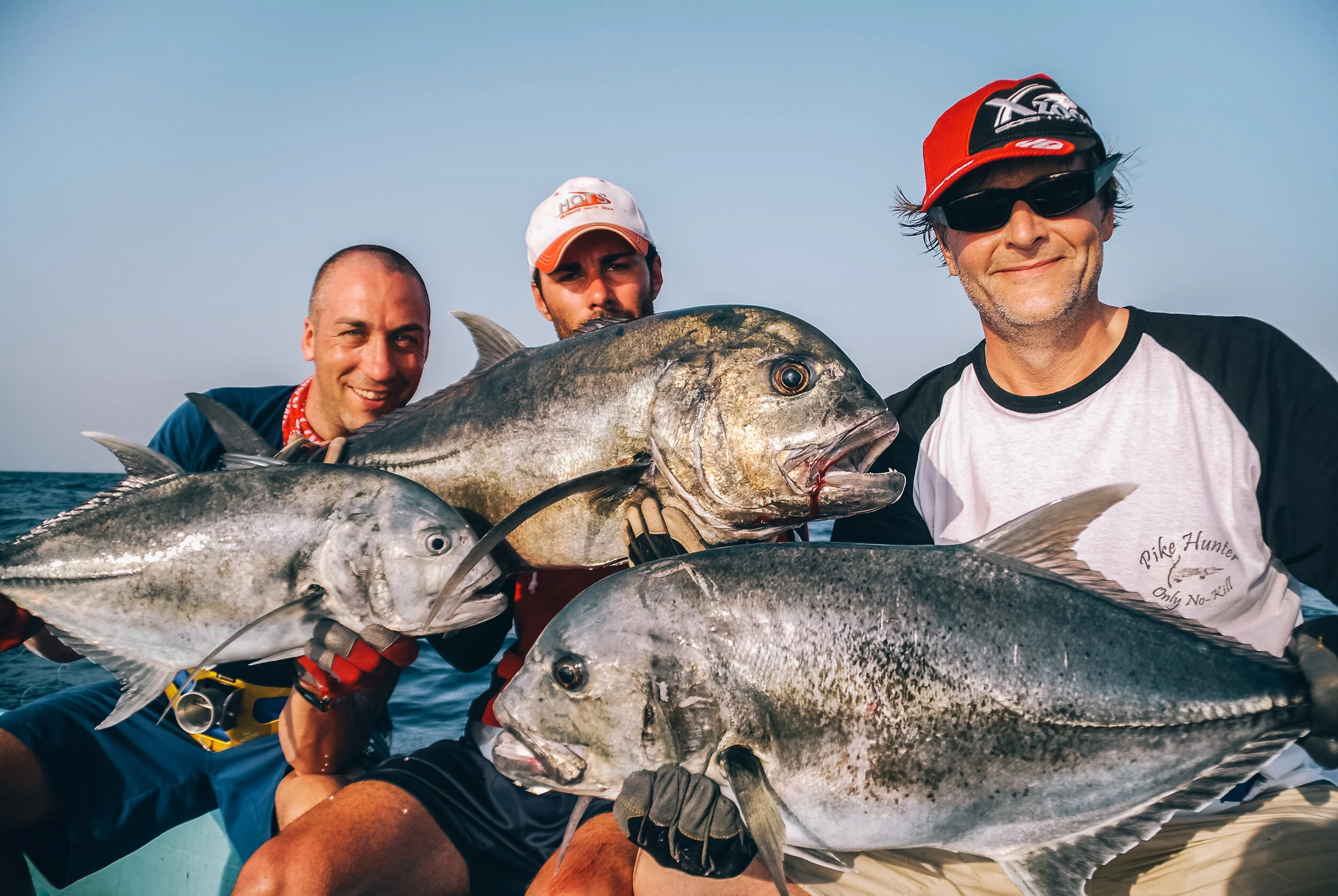 Gallery — Wild Sea Expedition