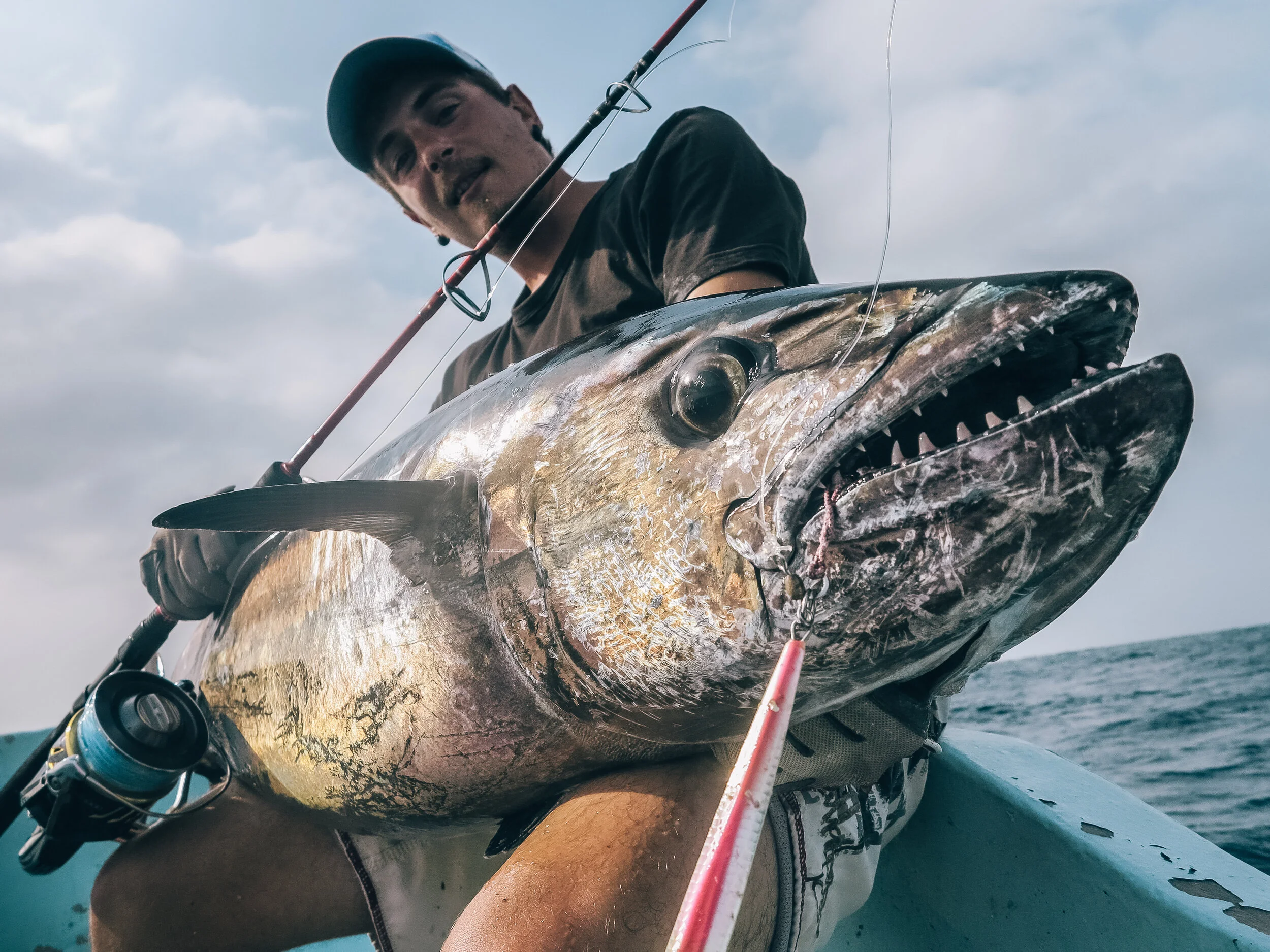 Sudan fishing: Nubian Reef — Wild Sea Expedition