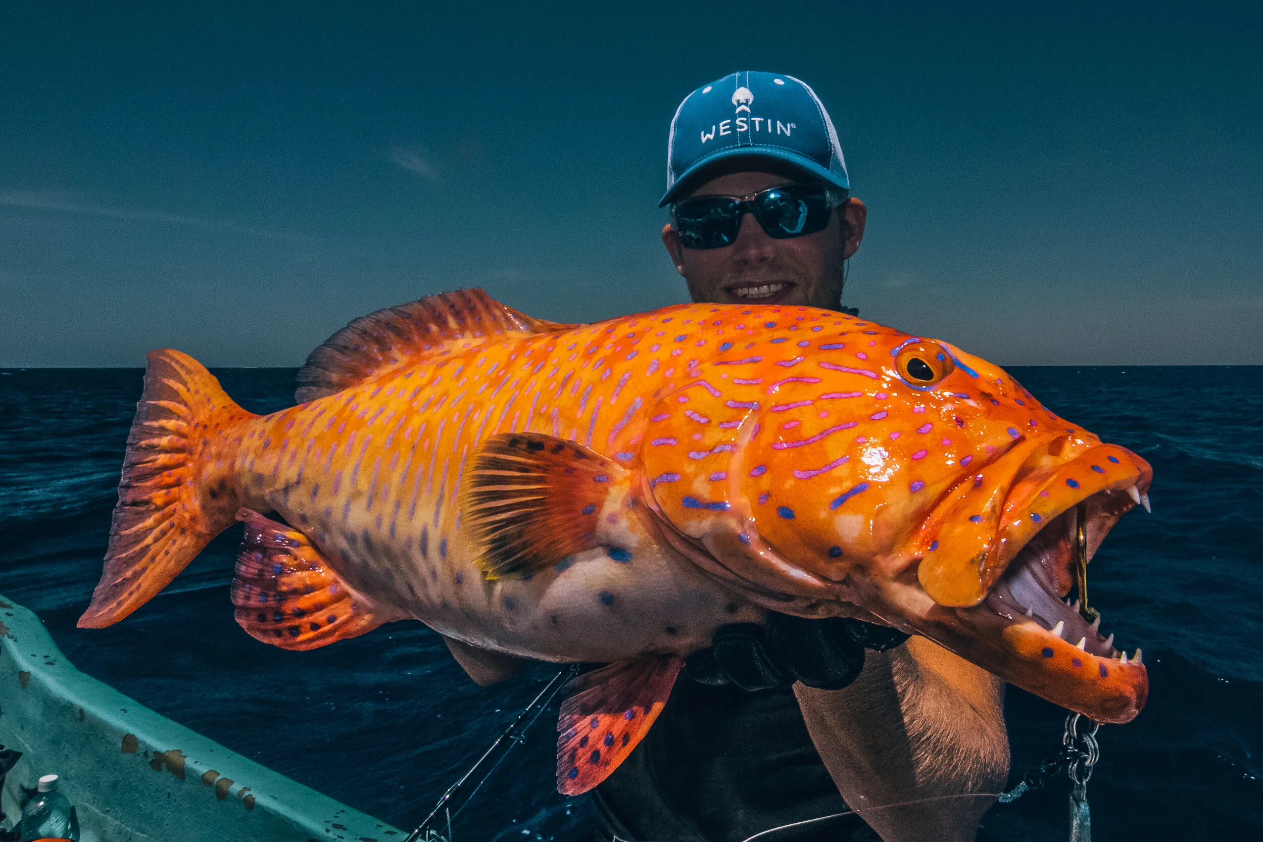 Sudan fishing: Nubian Reef — Wild Sea Expedition