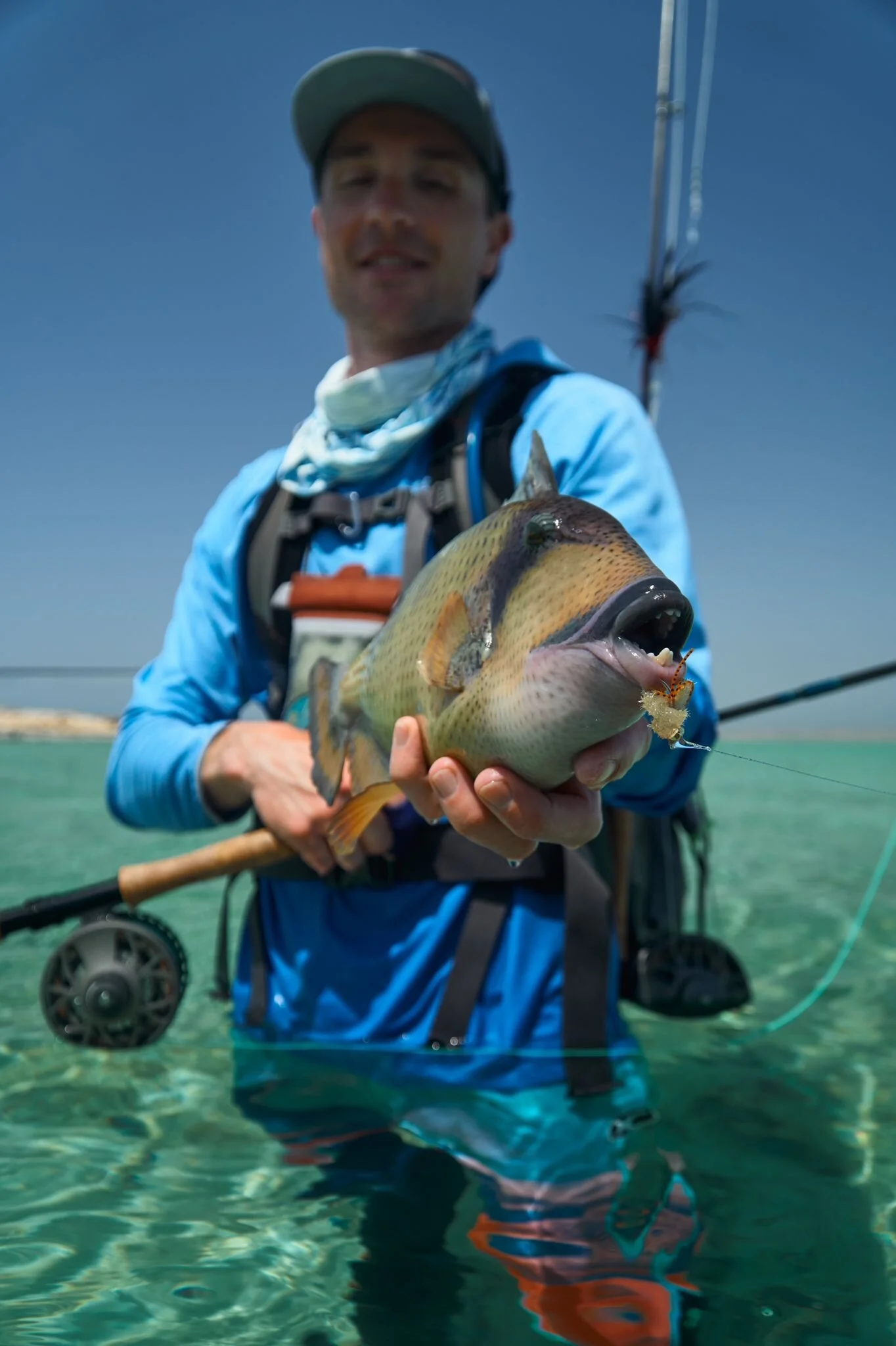 Sudan, Nubian Flats week 7 — Wild Sea Expedition