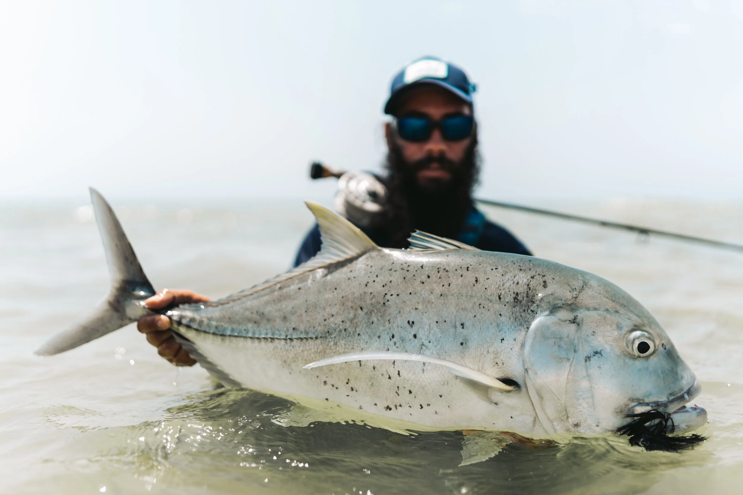 Saudi Arabia — Wild Sea Expedition