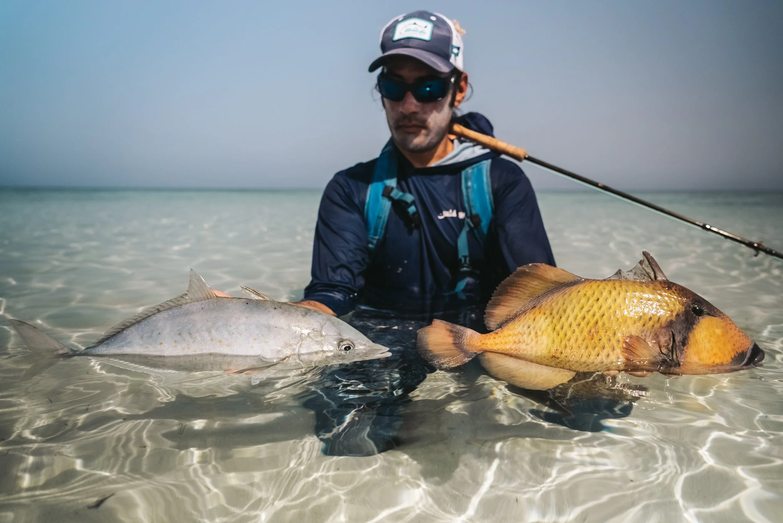 Saudi Arabia — Wild Sea Expedition