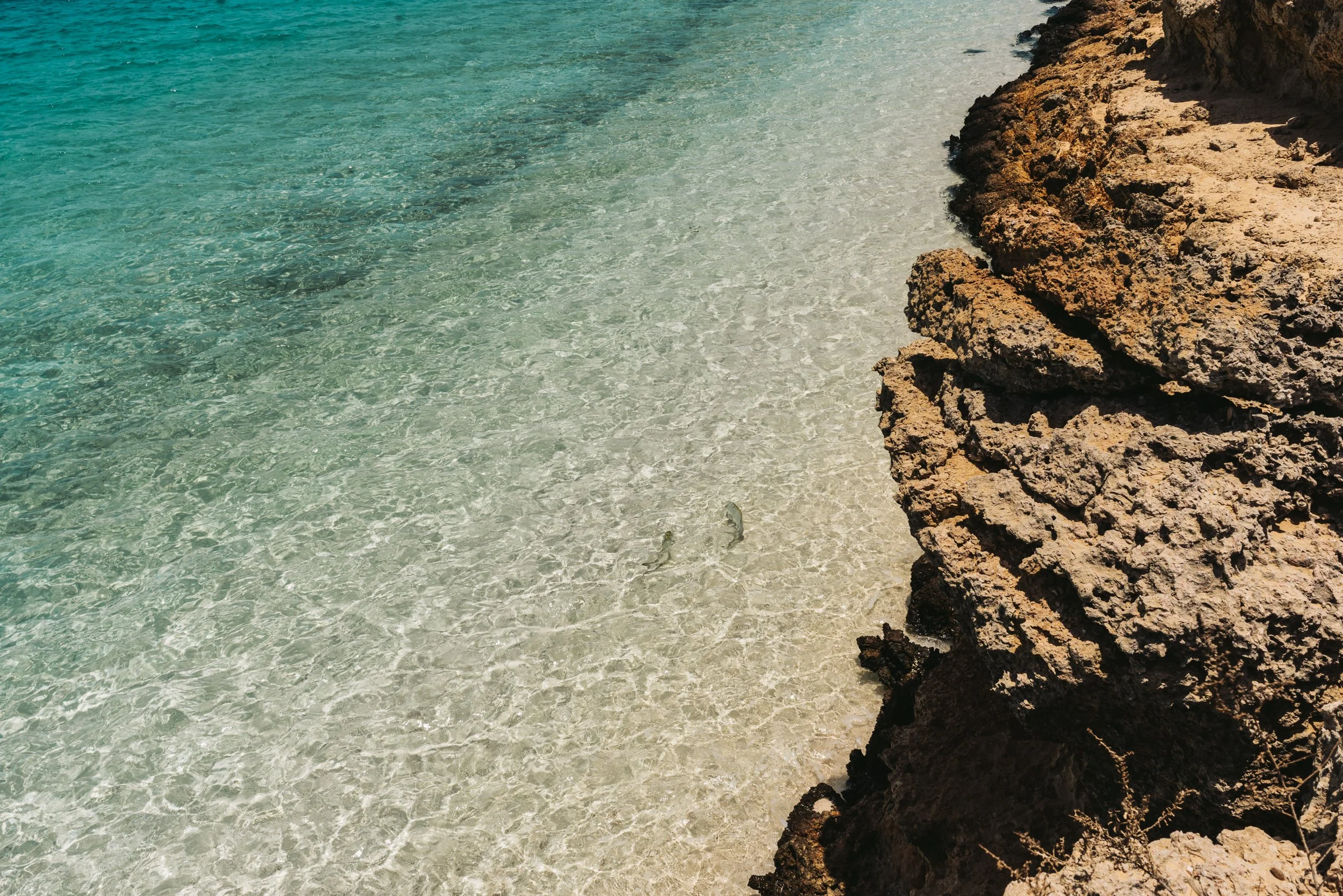 Saudi Arabia — Wild Sea Expedition