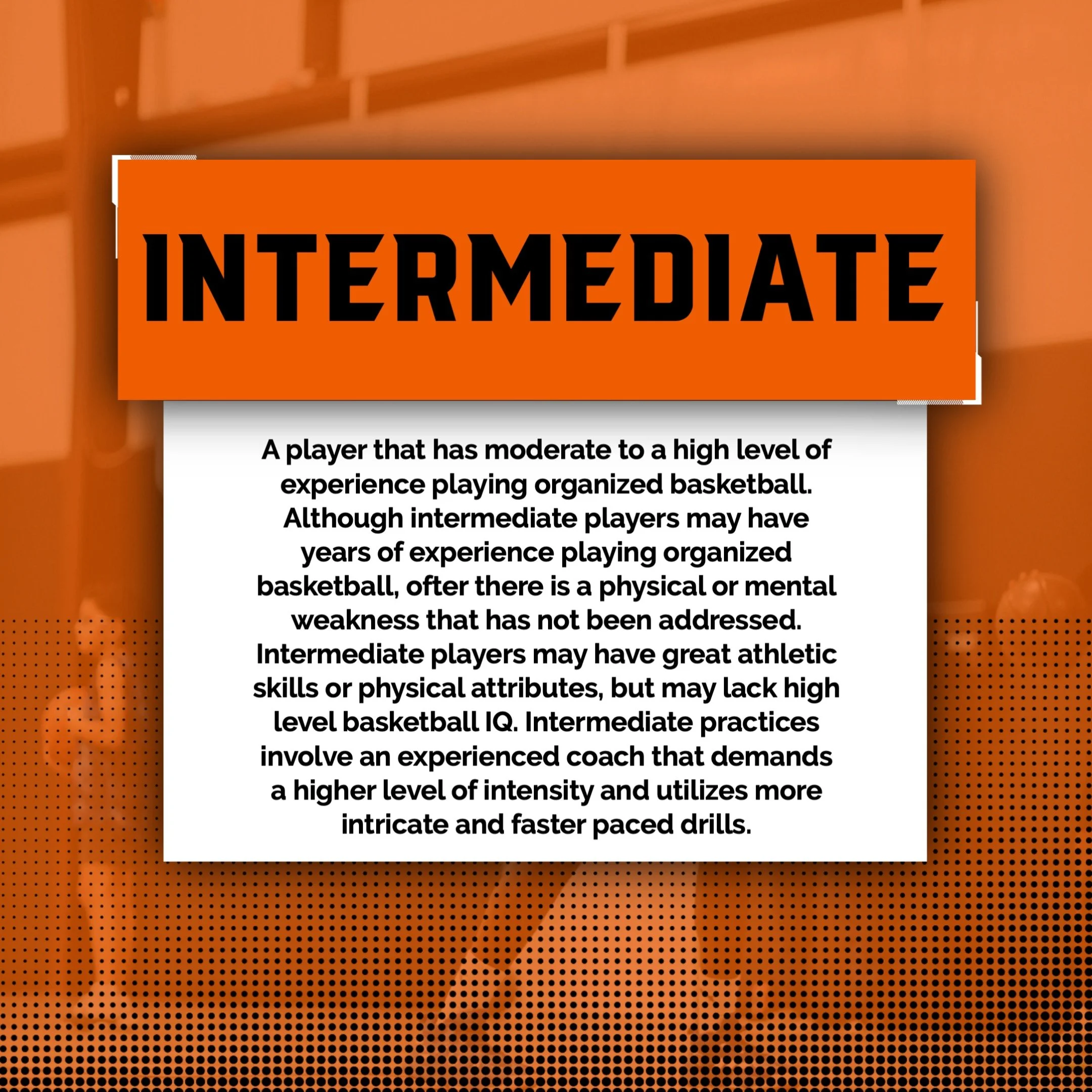 GROUP TRAINING = Memberships — THE LAB BASKETBALL TRAINING LLC