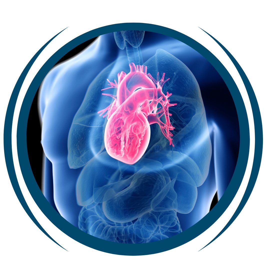 Naturopathic Services in Calgary, AB | Nova Clinic