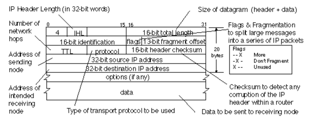 [ITP: Understanding Networks] Definitions — Priyanka Makin